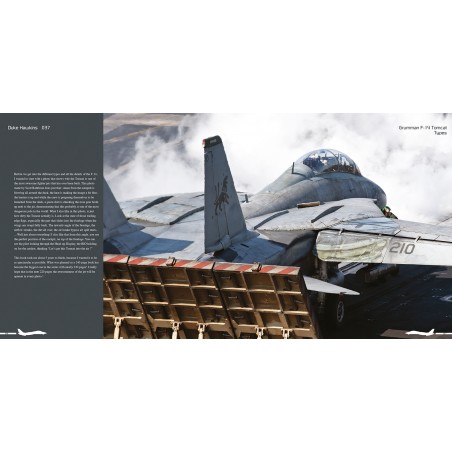 GRUMMAN F-14 TOMCAT FLYING IN THE US NAVY & IRIAF